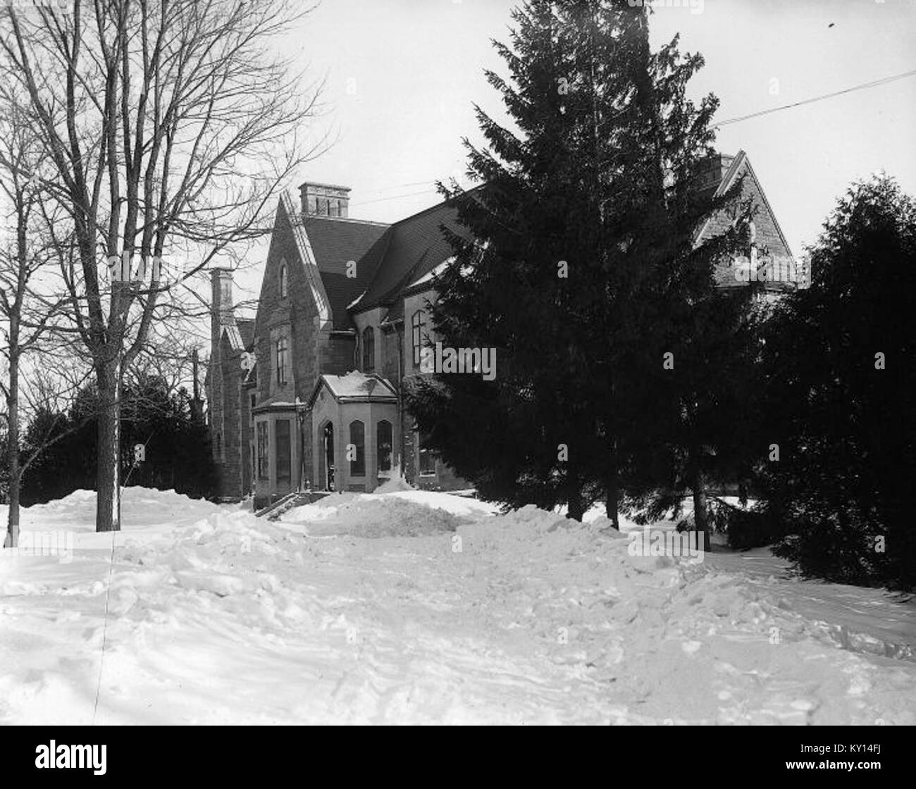 Forest book 01 hi-res stock photography and images - Alamy