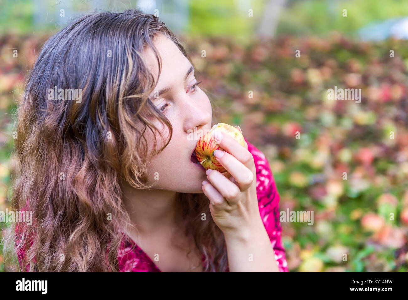 Young woman face eating one apple fallen wild fresh on grass ground ...