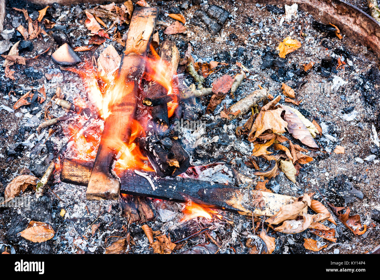 Closeup of wooden logs wood on fire showing detail and texture by ...