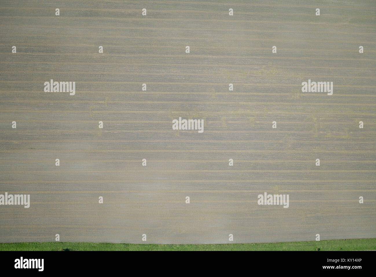 Crop Field View From Above After Harvest Stock Photo - Alamy