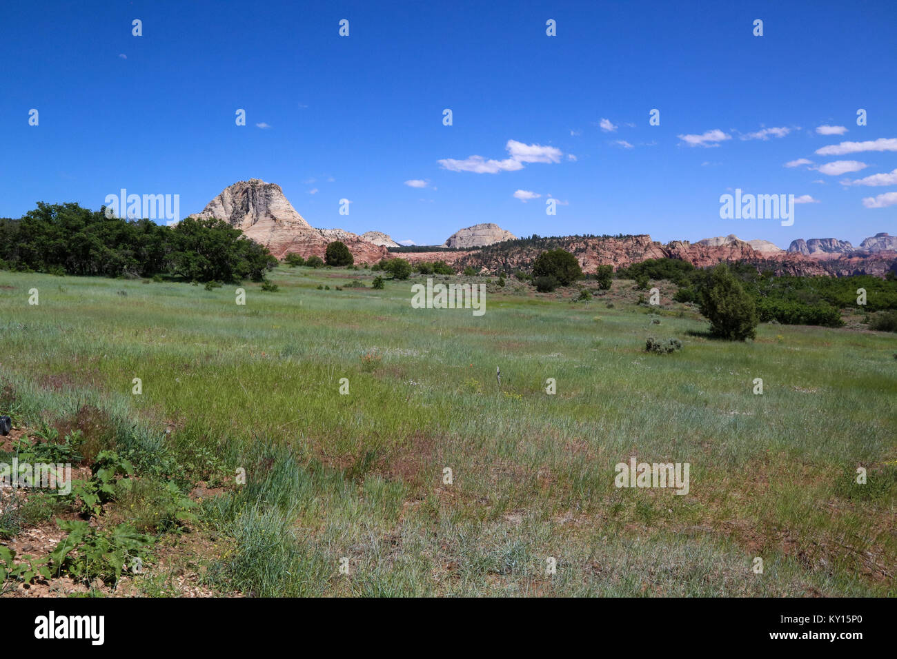 Zion Canyon seen from Kolob Terrace Road Stock Photo - Alamy