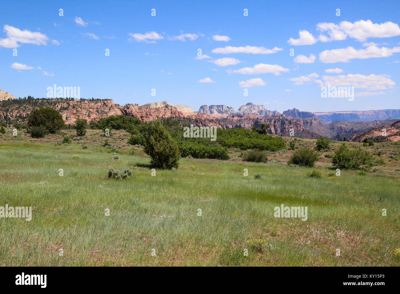 Zion Canyon seen from Kolob Terrace Road Stock Photo - Alamy