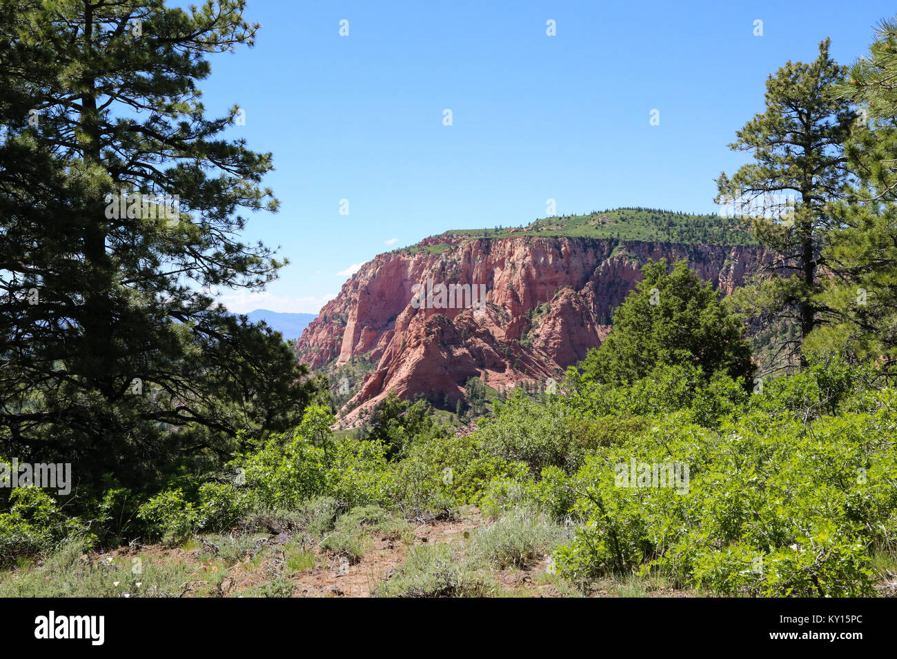 A scene from the Kolob Terrace Road on the west side of Zion National ...