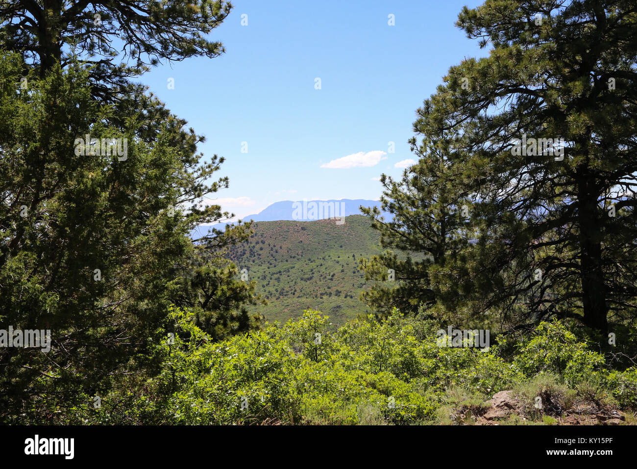 A scene from the Kolob Terrace Road on the west side of Zion National ...