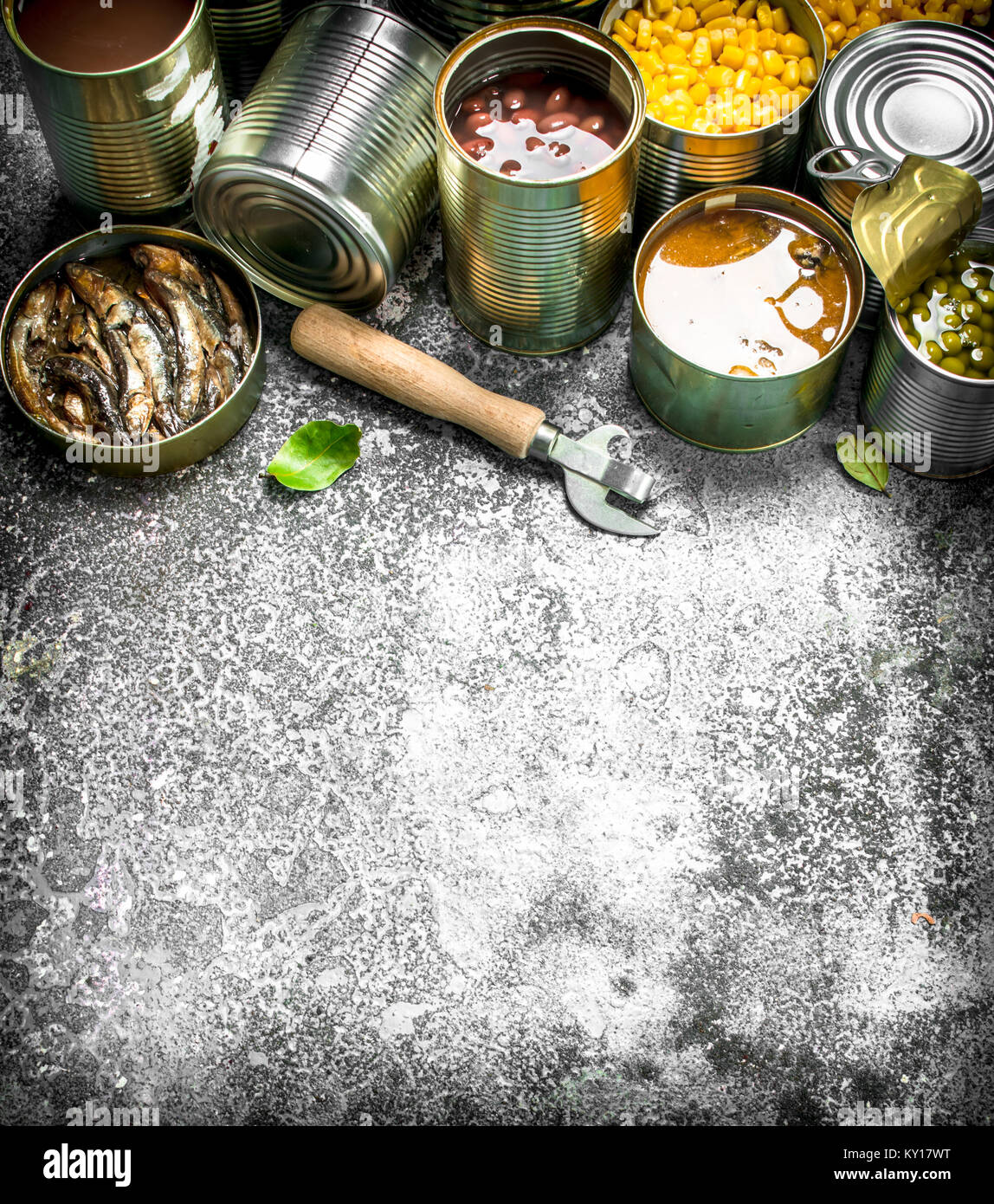 Various canned foods with meat, fish, vegetables and fruits in tin cans ...