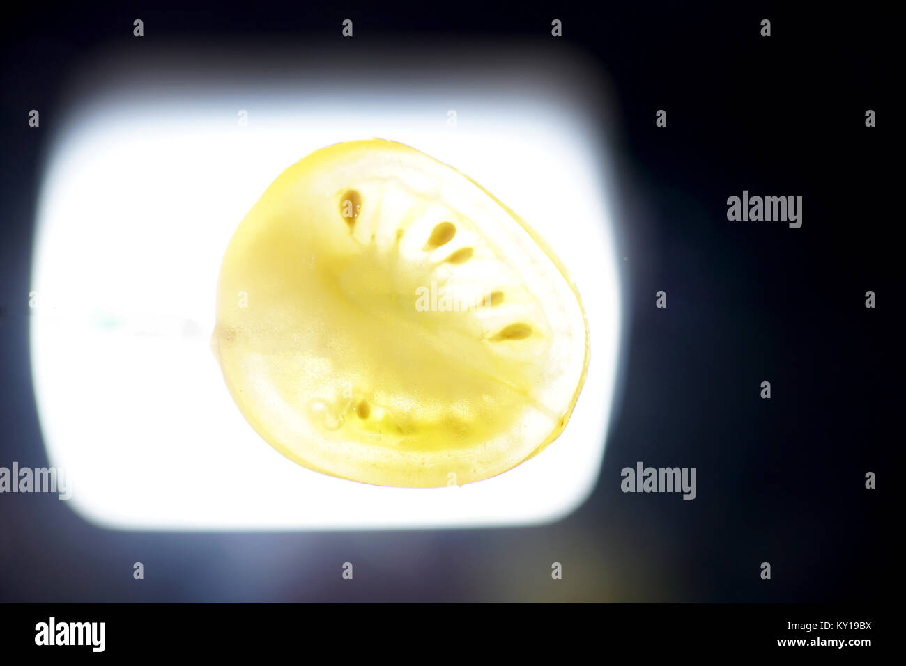 A tomato sliced and photographed in front of flash in the studio Stock ...
