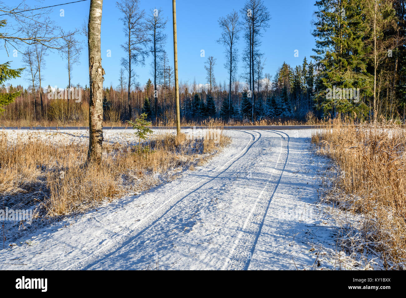 car tire tracks on winter road in deep snow in lonely forest Stock ...