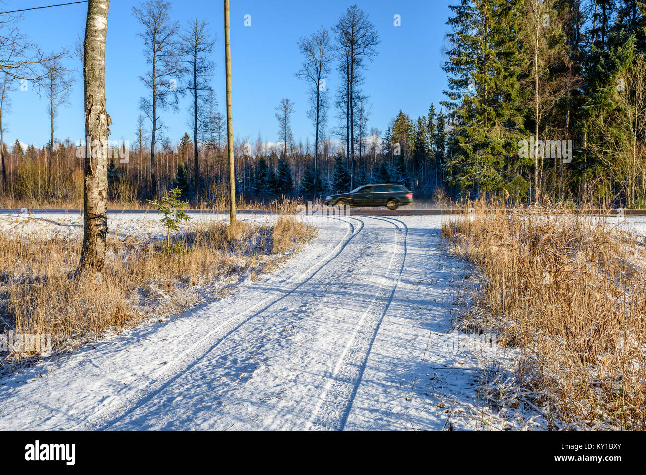 car tire tracks on winter road in deep snow in lonely forest Stock ...
