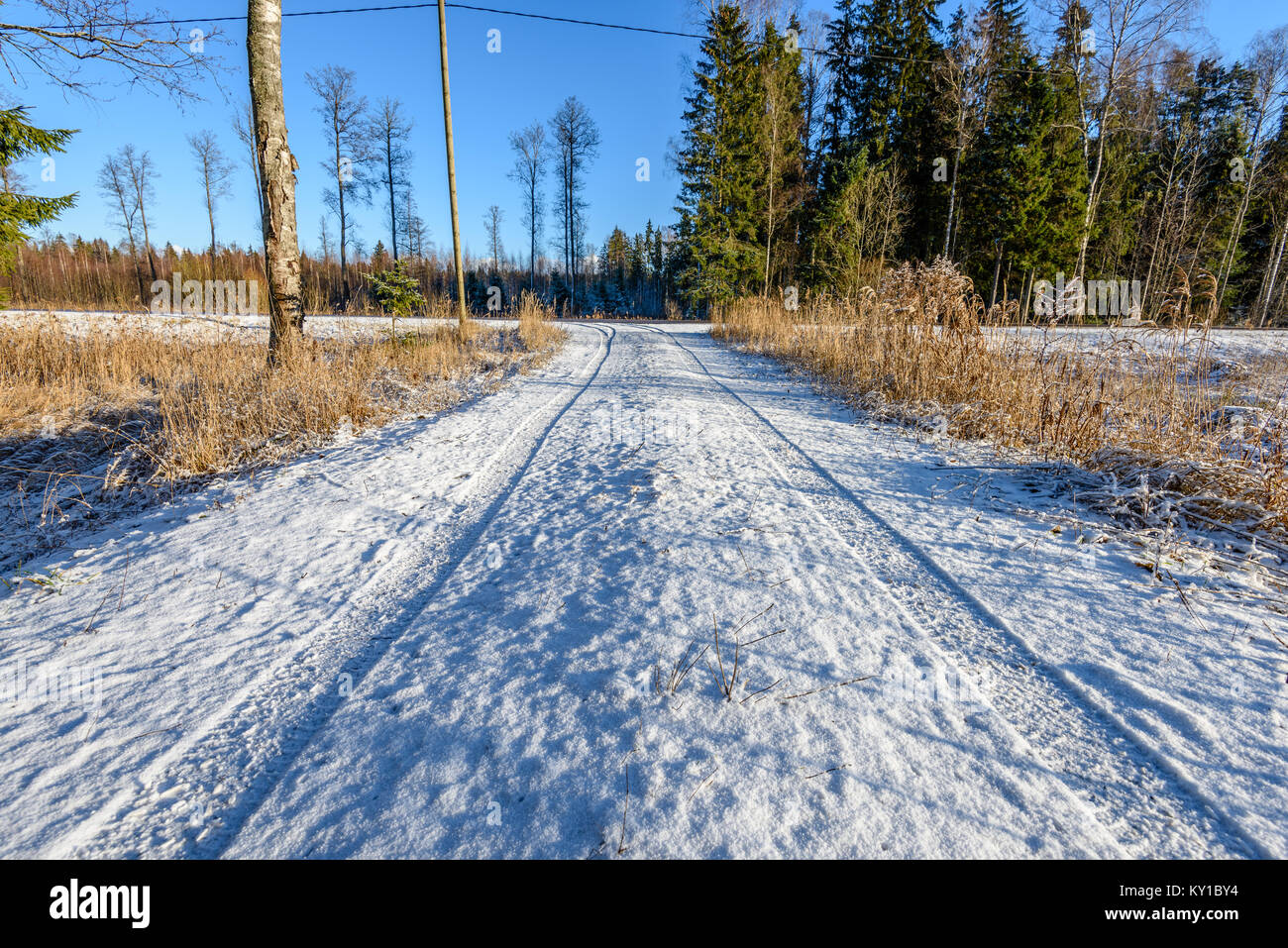car tire tracks on winter road in deep snow in lonely forest Stock ...