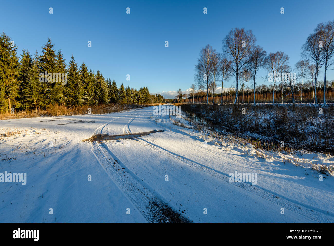 car tire tracks on winter road in deep snow in lonely forest Stock ...