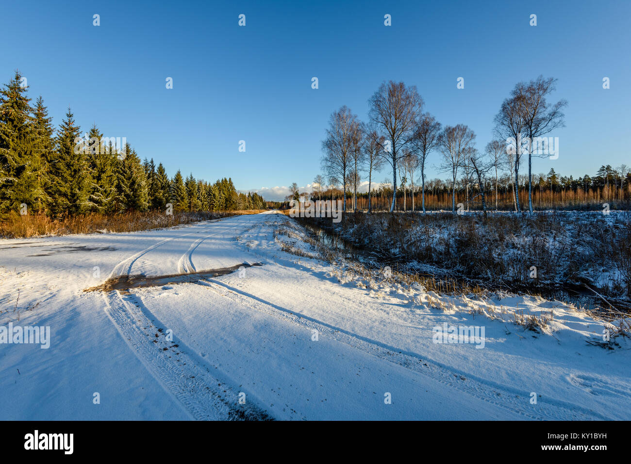 car tire tracks on winter road in deep snow in lonely forest Stock ...