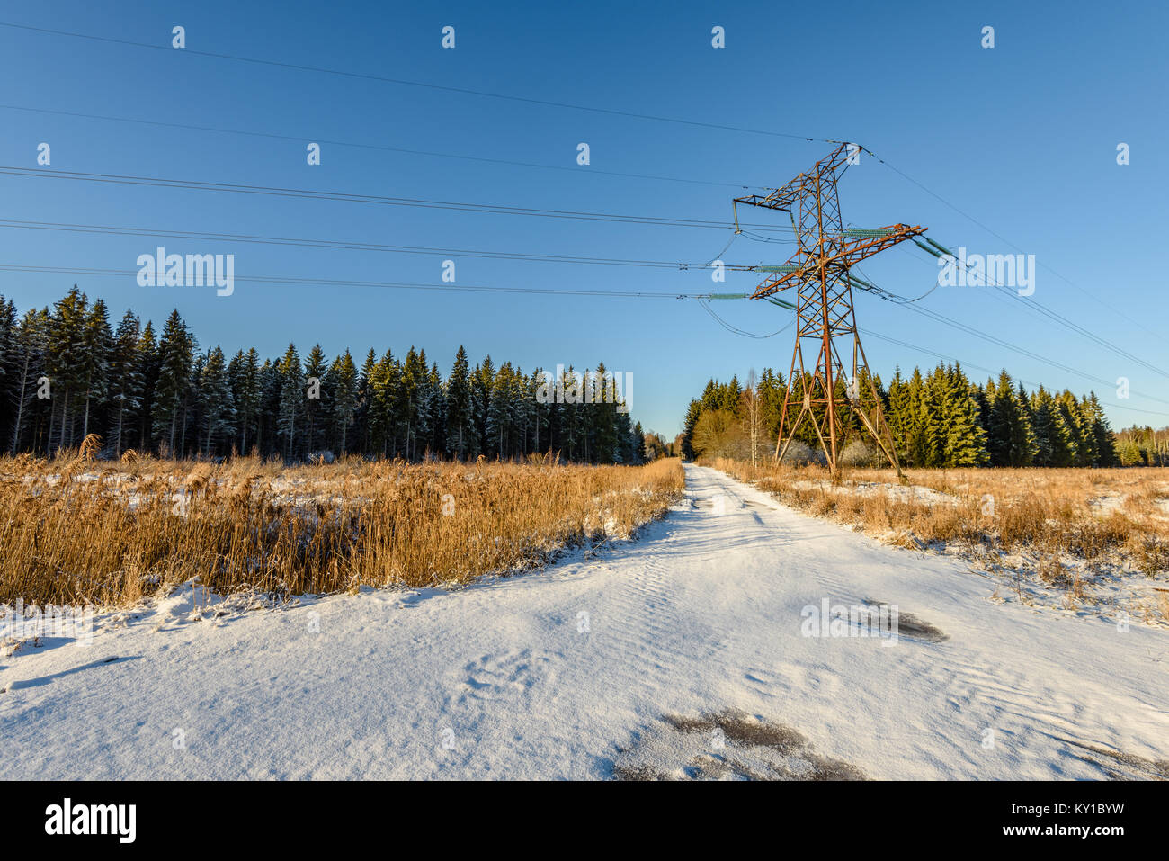 car tire tracks on winter road in deep snow in lonely forest Stock ...
