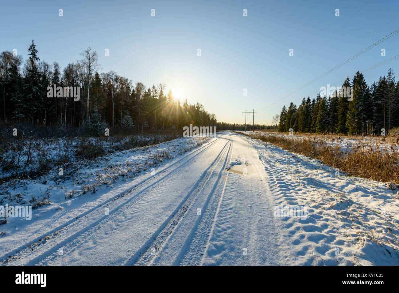 car tire tracks on winter road in deep snow in lonely forest Stock ...