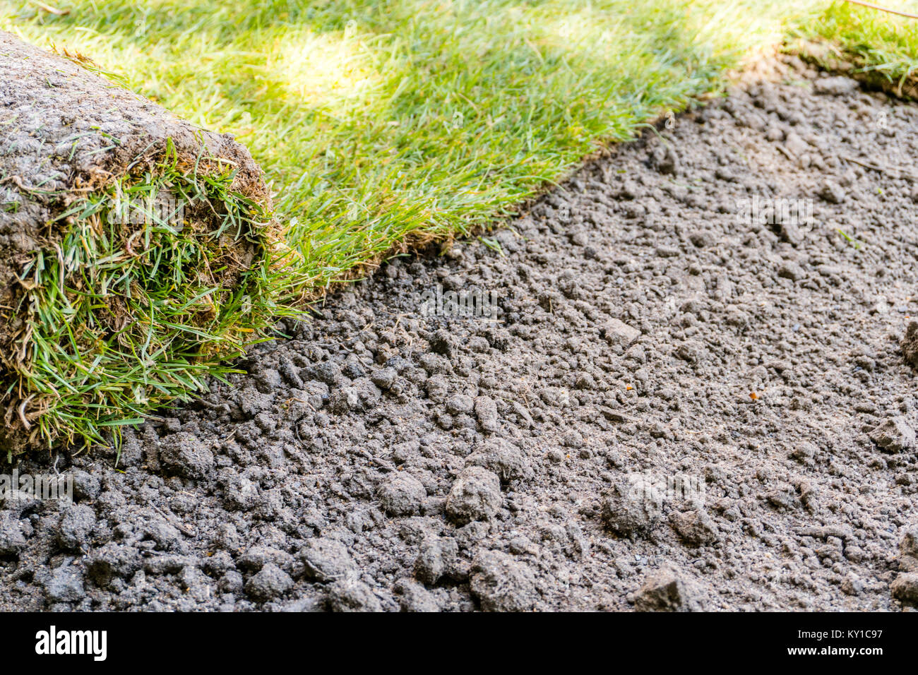 Sod roll hi-res stock photography and images - Alamy