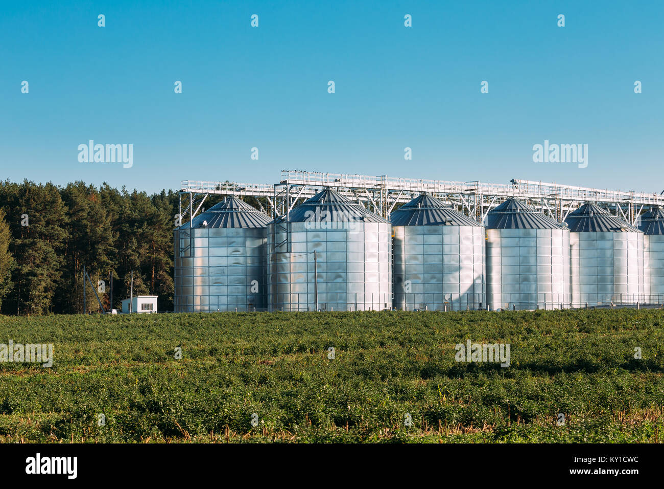 Modern Granary, Grain-drying Complex, Commercial Grain Or Seed Silos In ...