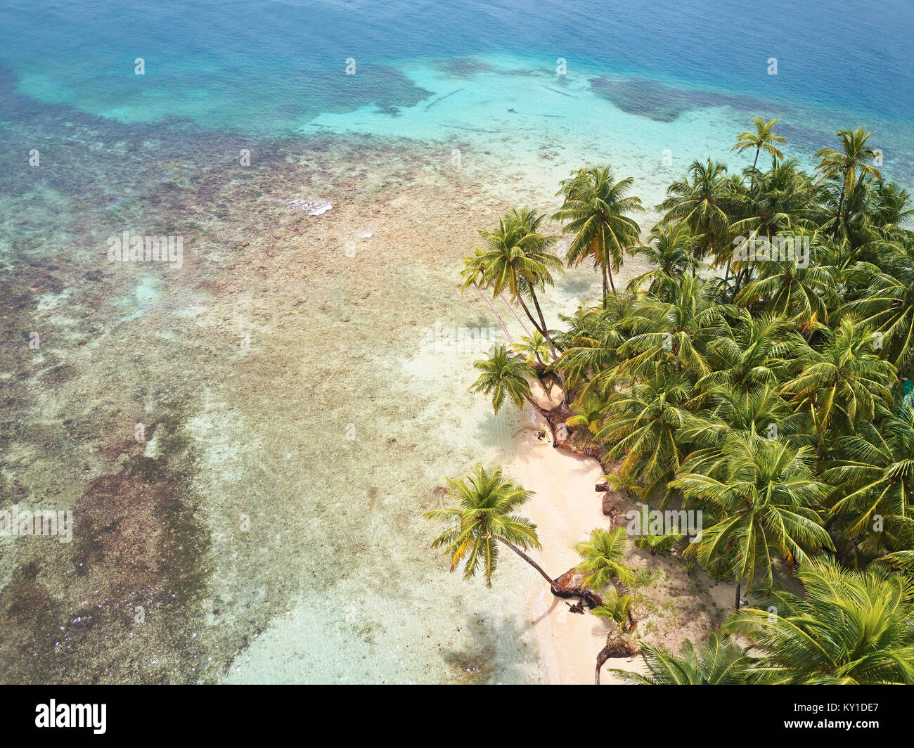 Reef aerial palms hi-res stock photography and images - Alamy