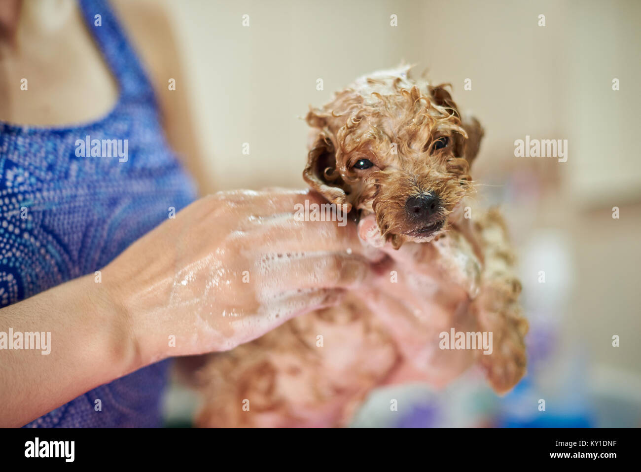 Funny washing up hi-res stock photography and images - Alamy