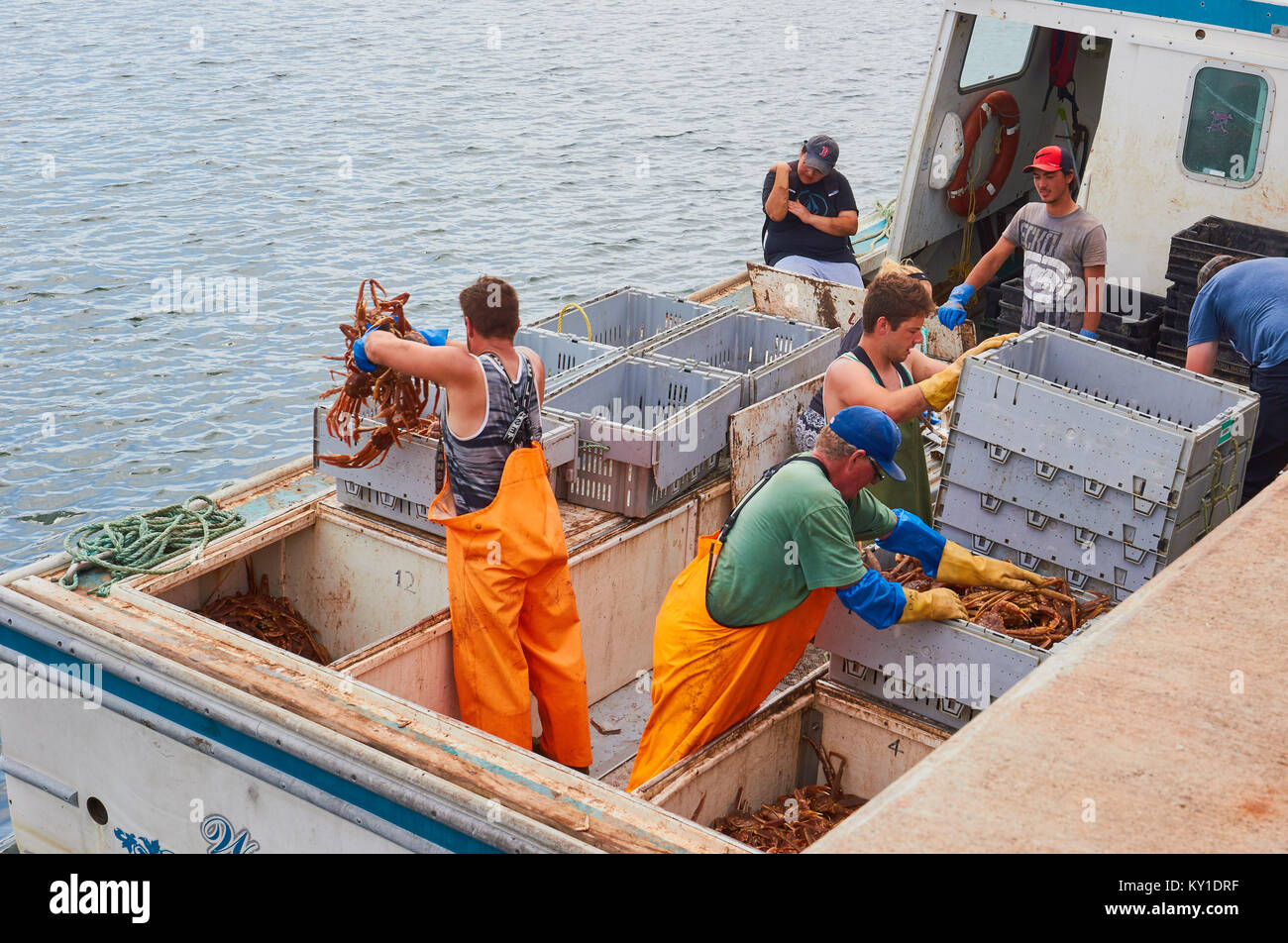Fishermen trawler catch hi-res stock photography and images - Alamy