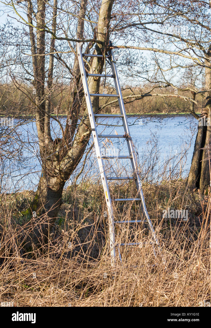 Metal ladder sustained by a tree, in the park, winter time Stock Photo ...