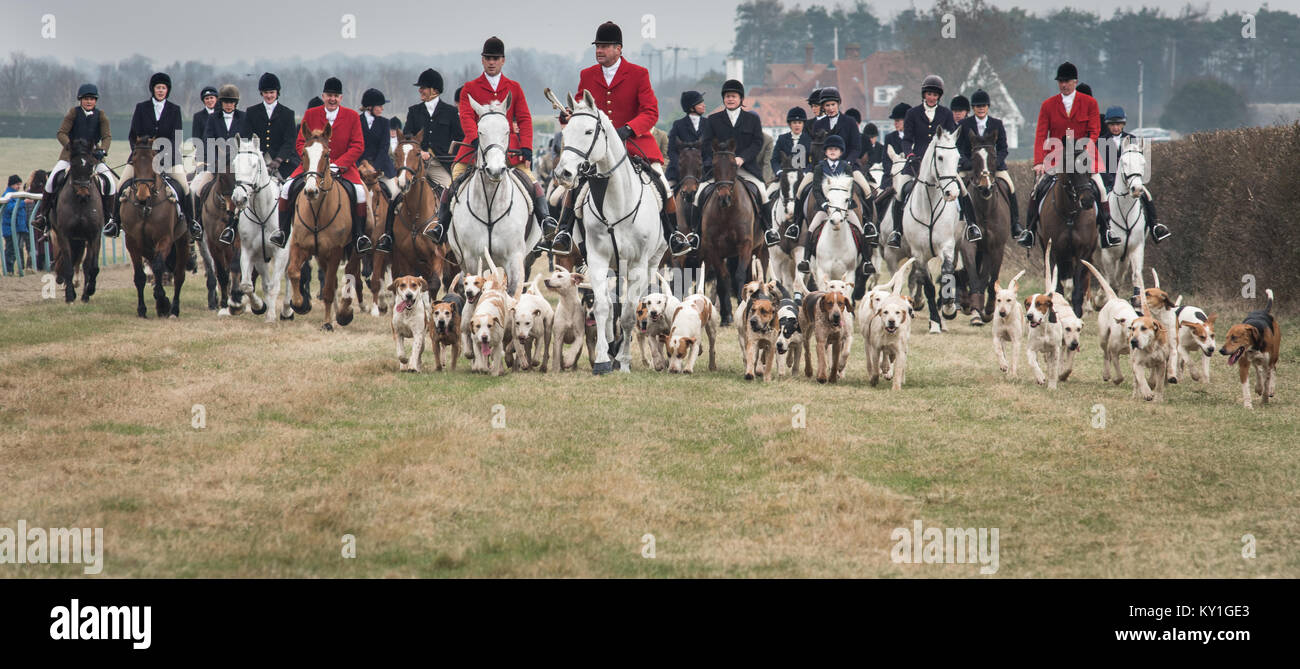 Newmarket horse racing hi-res stock photography and images - Alamy