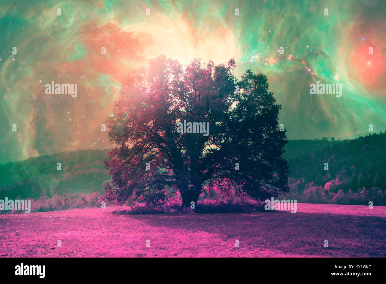 red alien landscape with alone tree over the night sky with many stars ...