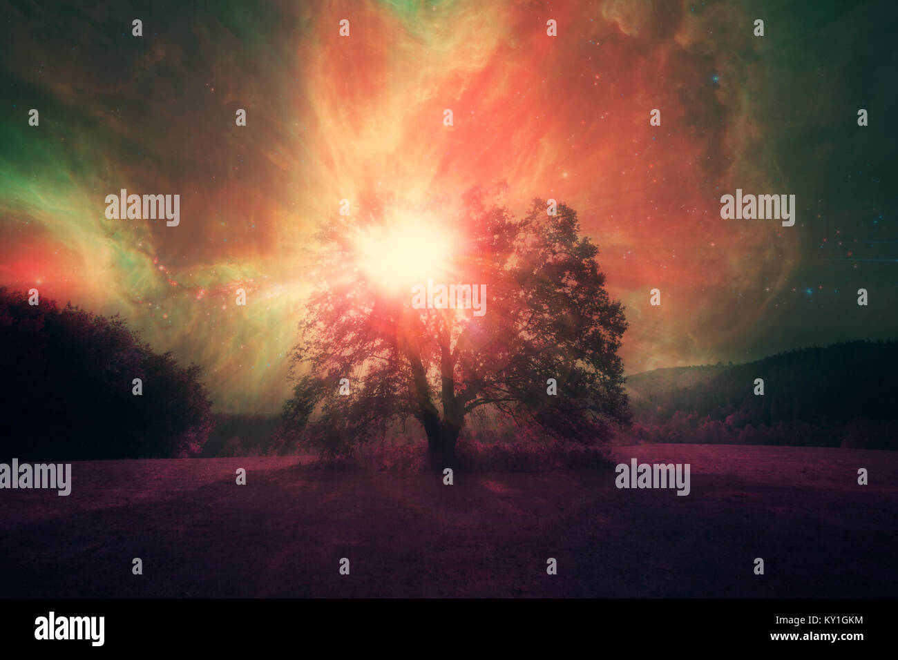 red alien landscape with alone tree over the night sky with many stars ...