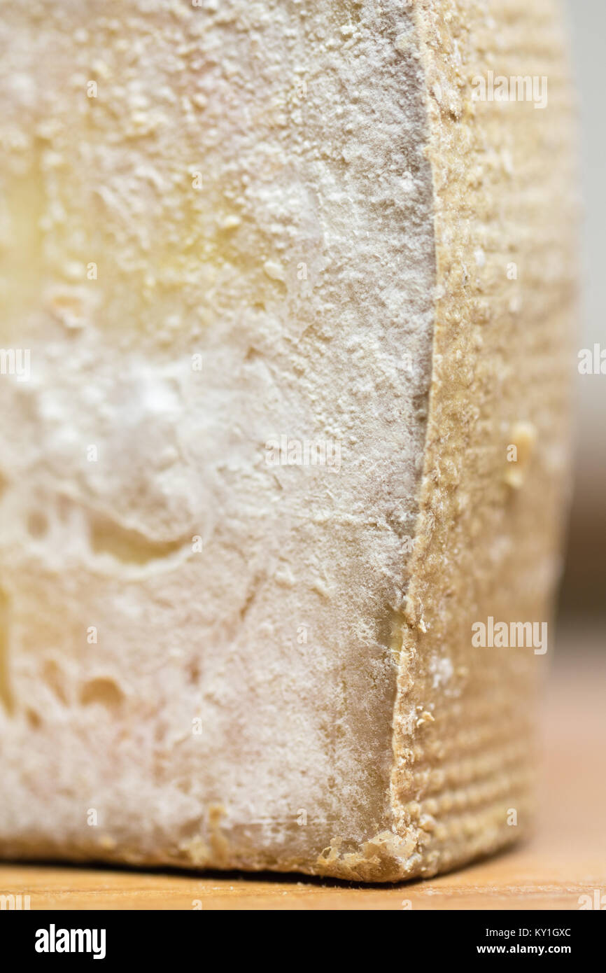 Moldy cheese close up. Molded slice of comte cheese on the cutting ...