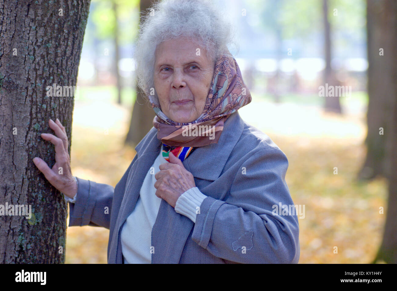 Smiling classy old lady near tree posing in autumn park Stock Photo - Alamy