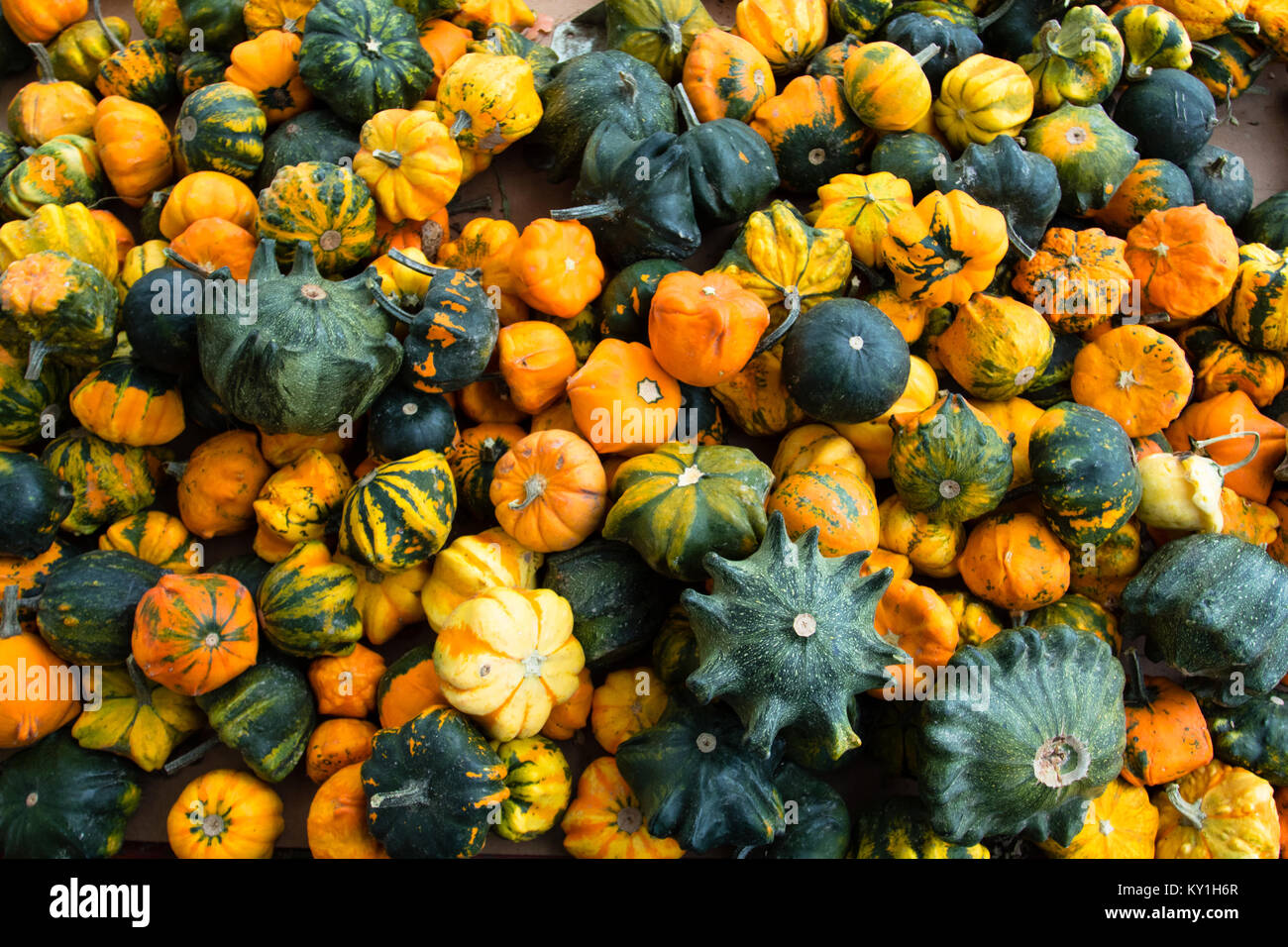 Ornamentalbackground hi-res stock photography and images - Alamy