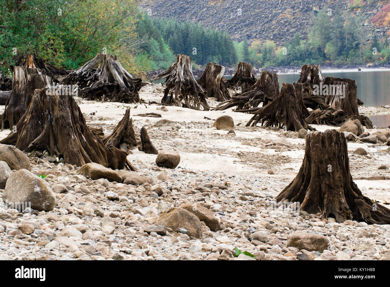 Deforestation madagascar hi-res stock photography and images - Alamy