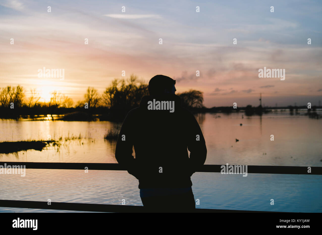 Silhouette of man overlooking flooded fields in the Whittlesey fens at ...