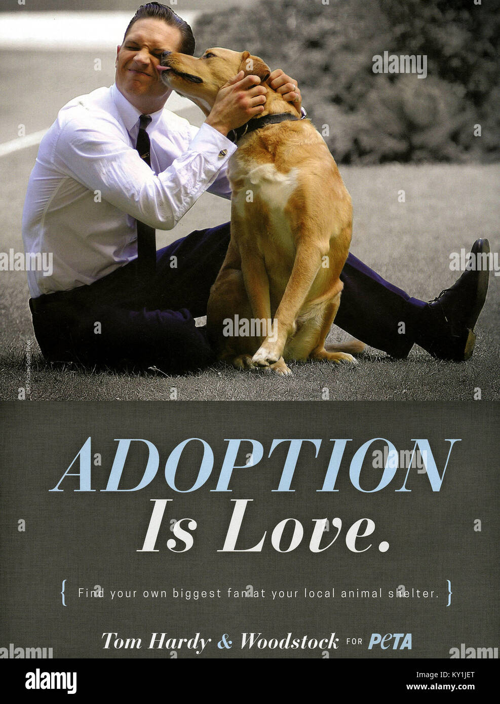 2010s UK Peta Magazine Advert Stock Photo - Alamy