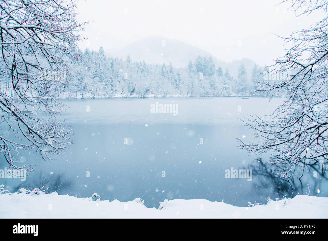Frozen lake in snowy forest Stock Photo - Alamy