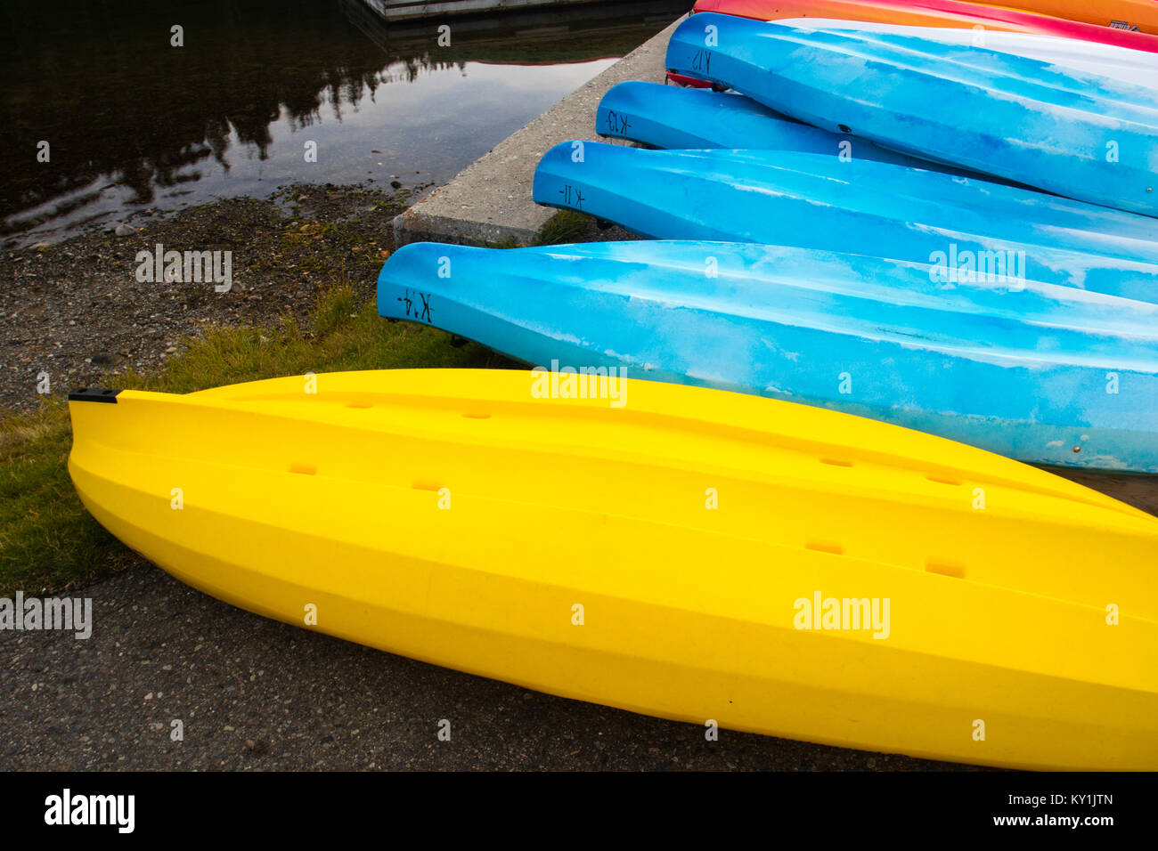 Beautiful and colorful kayaks in rows on a lake Stock Photo - Alamy