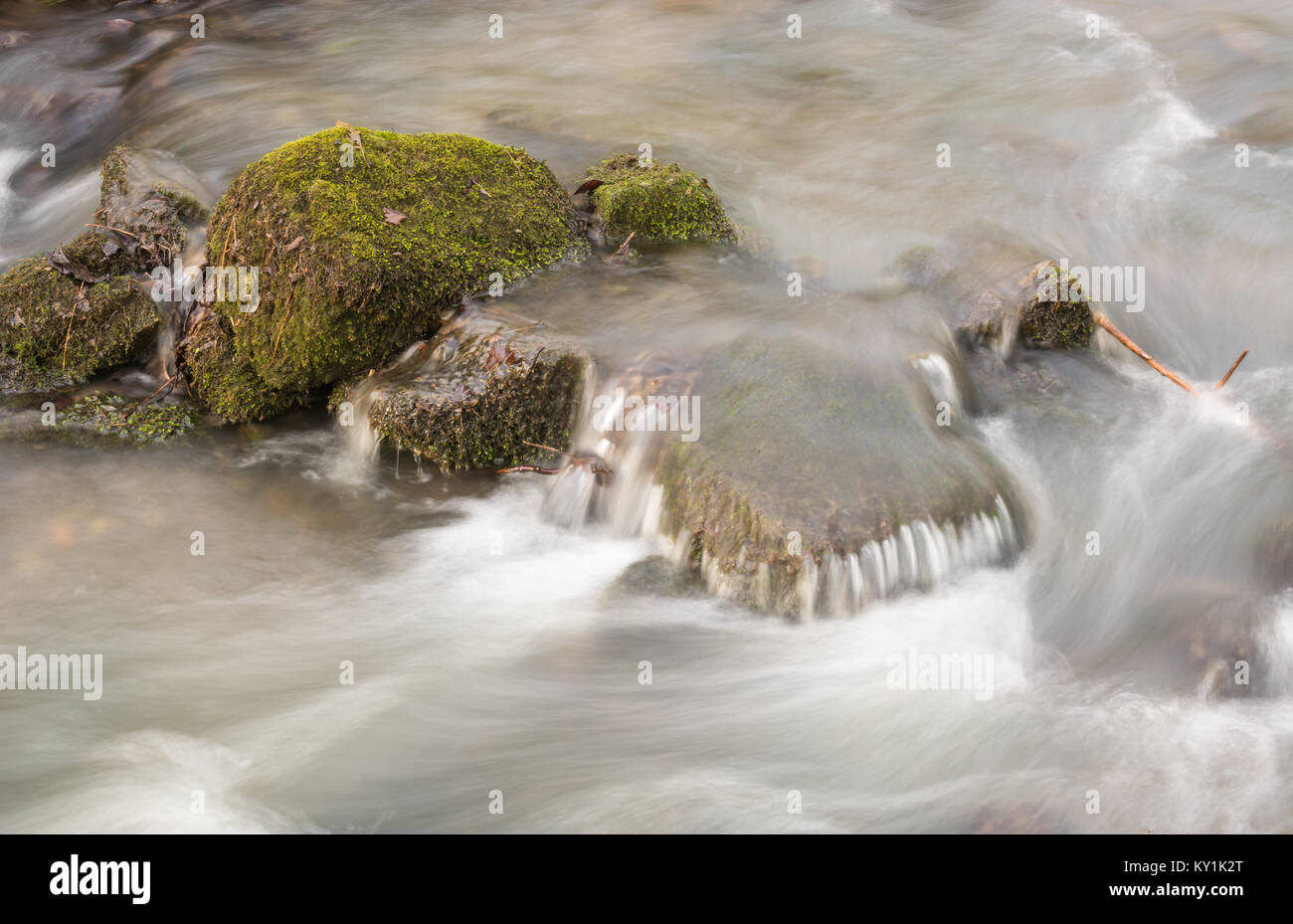 Moss covered rocks in flowing water Stock Photo - Alamy