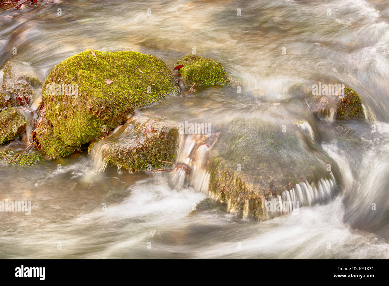 Moss covered rocks in flowing water Stock Photo - Alamy