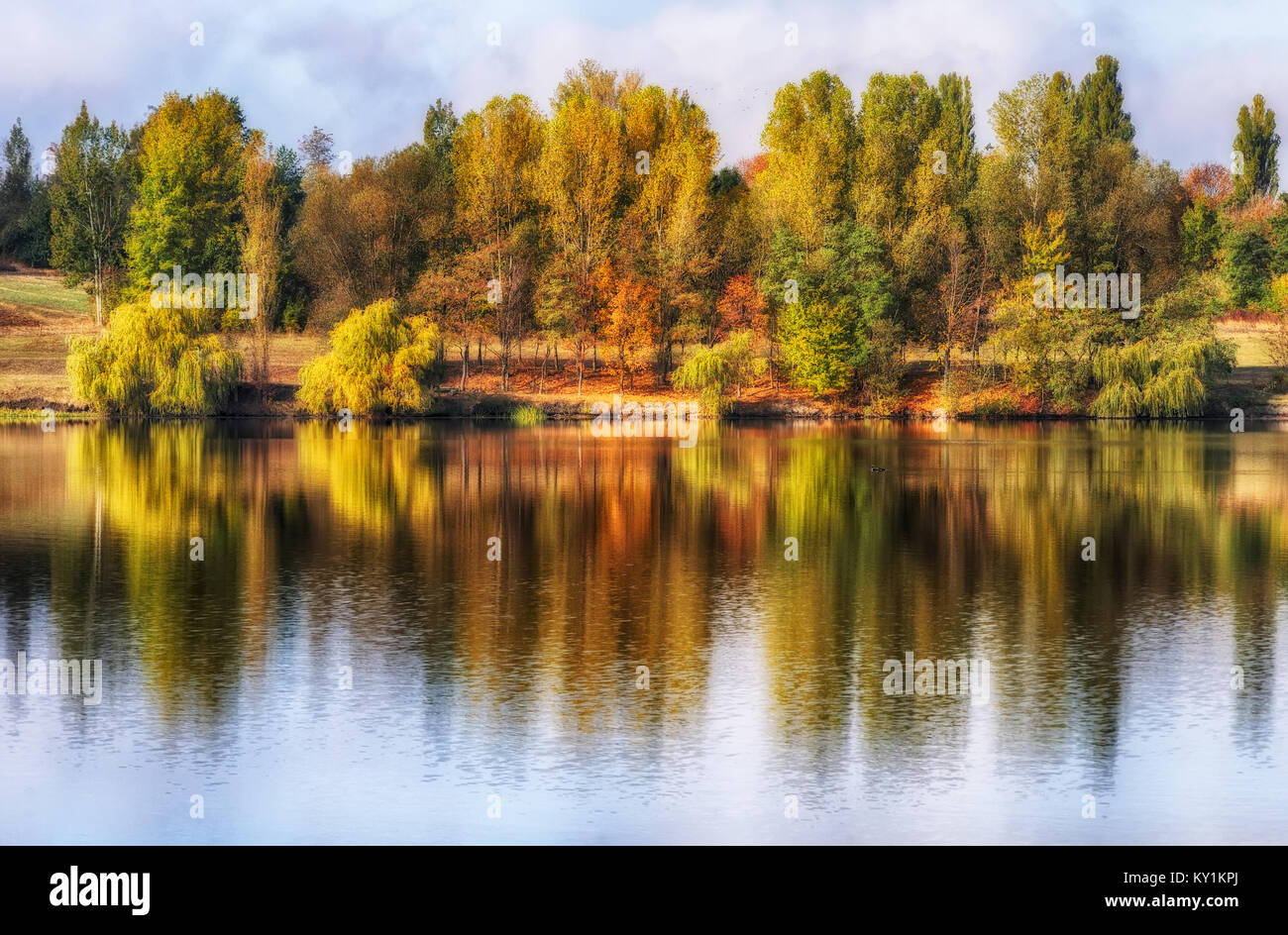 reflection. picturesque reflection of trees in the river. symmetry ...