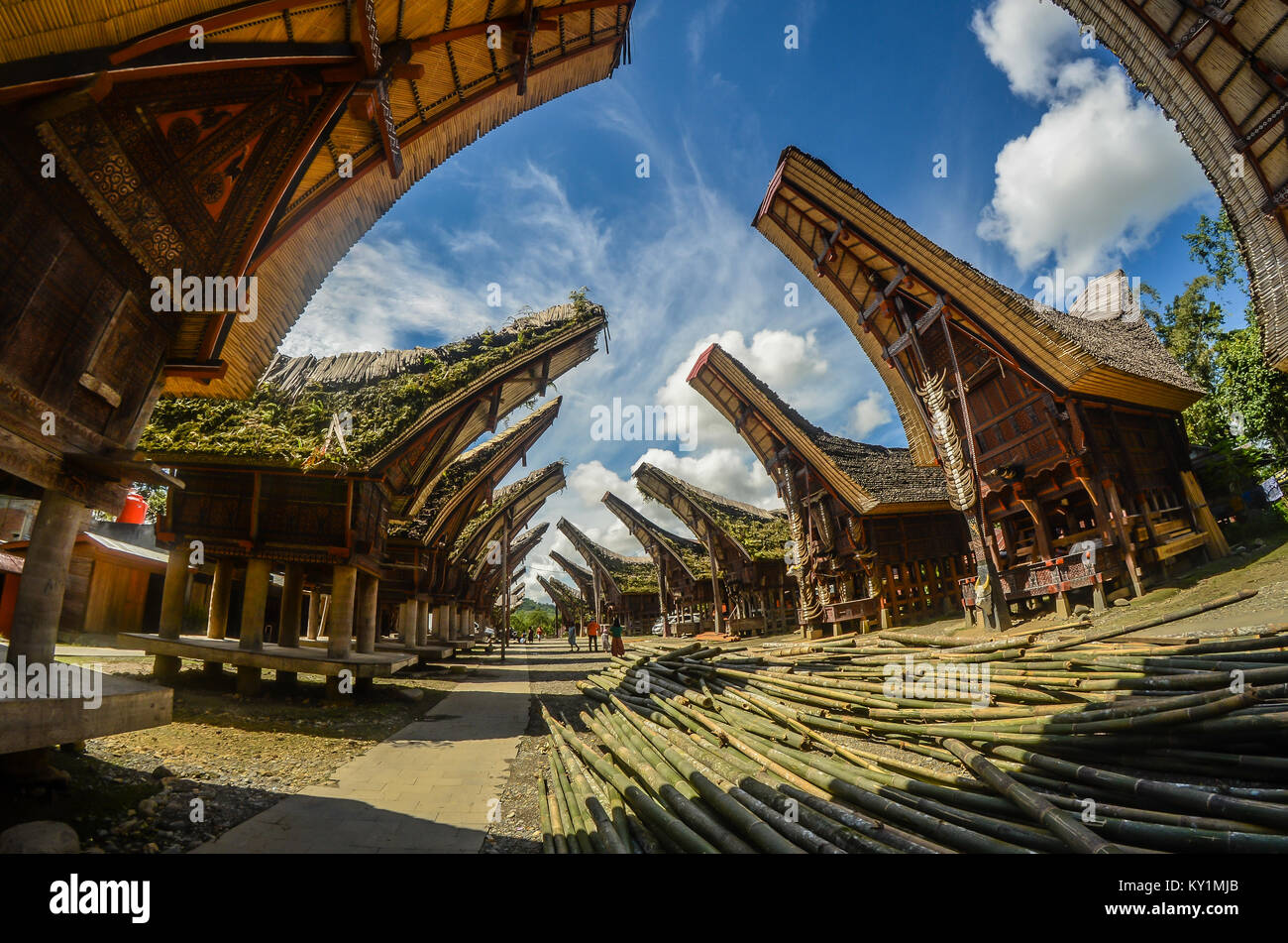 Palawa hi-res stock photography and images - Alamy