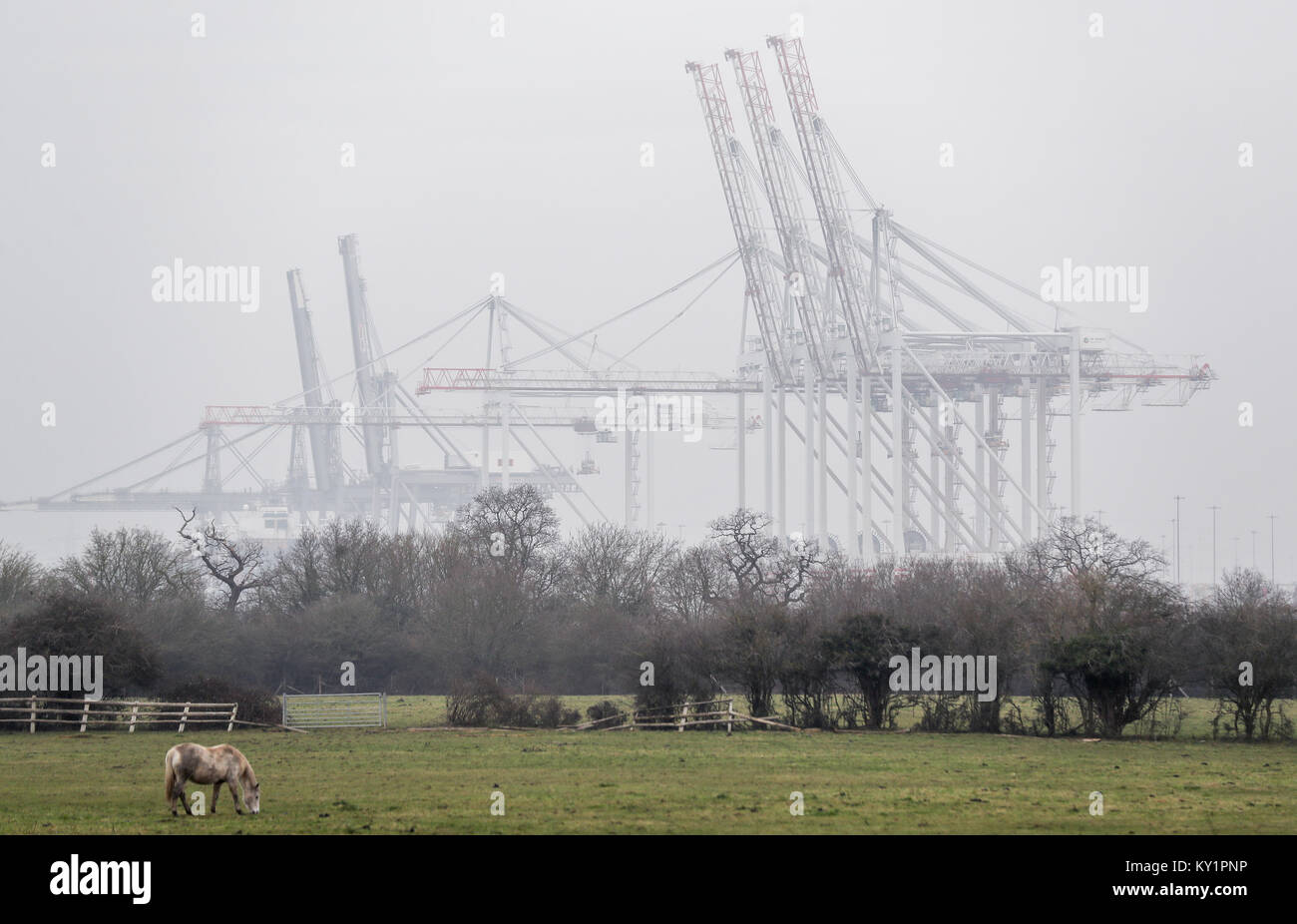 Container dp world southampton hi-res stock photography and images - Alamy