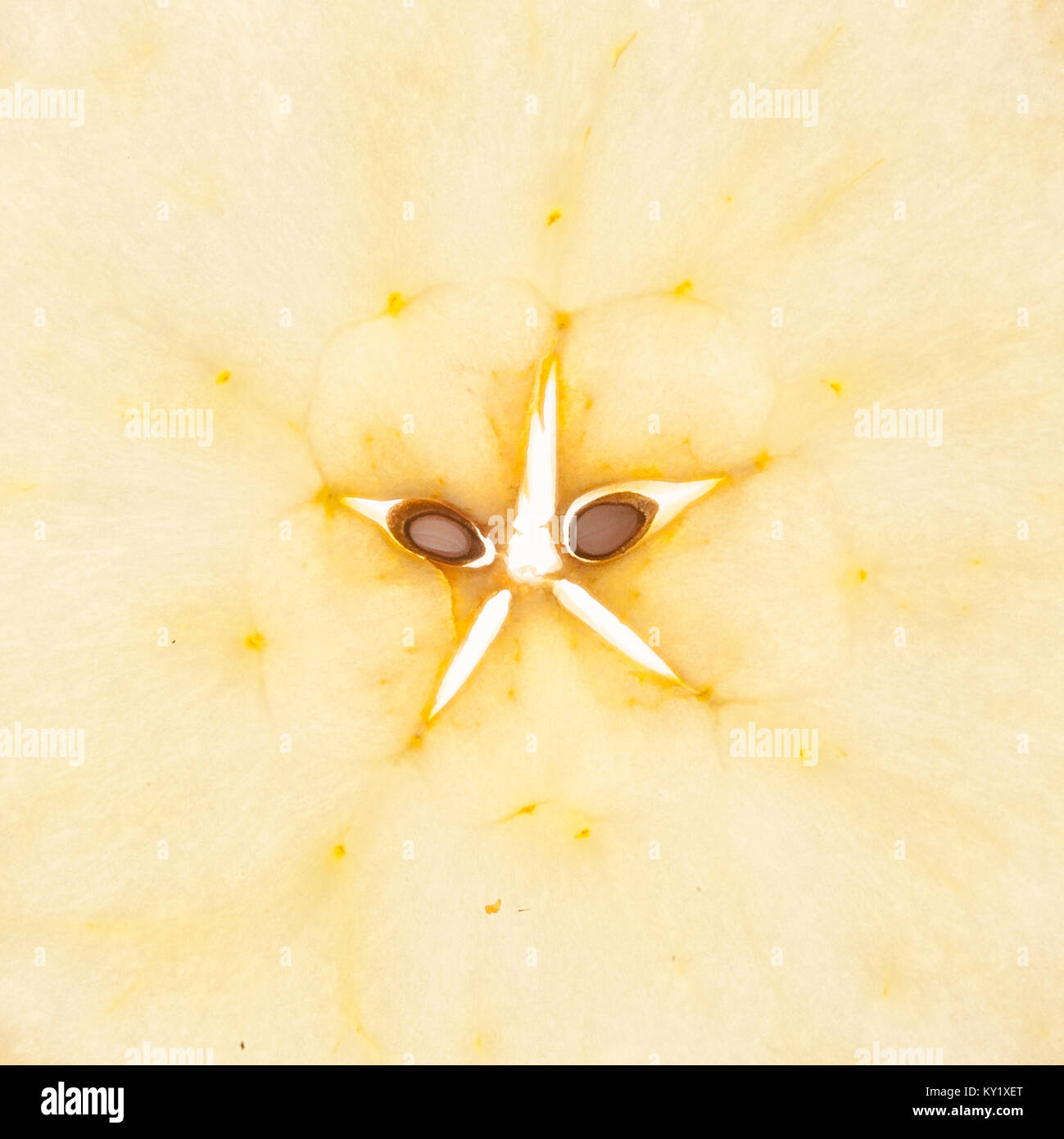 jonagold apple cut in slices Stock Photo - Alamy