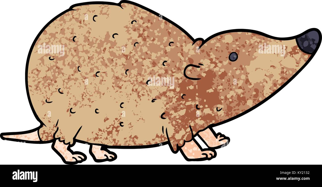 Shrew drawing Cut Out Stock Images & Pictures - Alamy