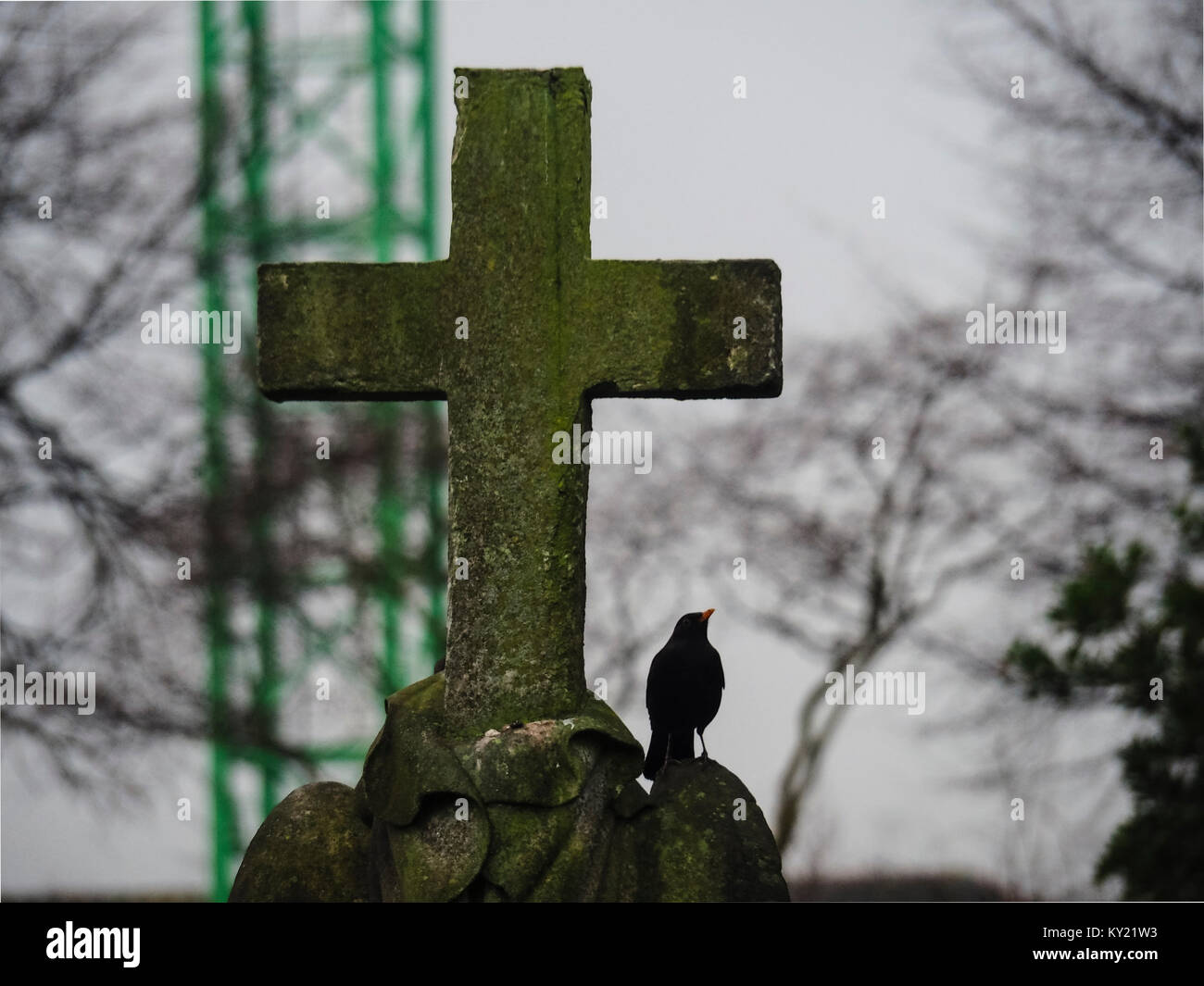 Cemetery and Construction Site Stock Photo - Alamy