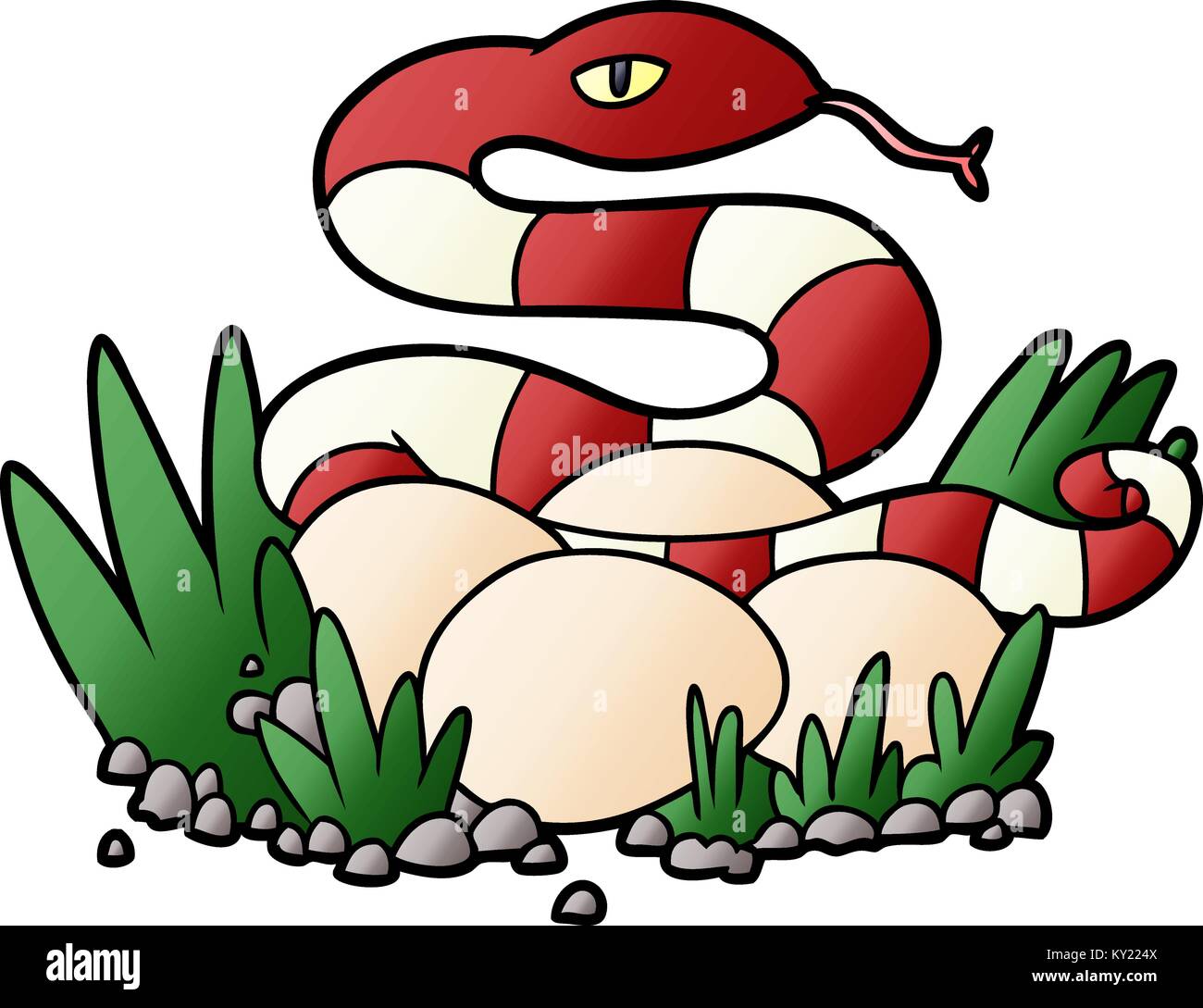 Snake Eggs Stock Vector Images - Alamy