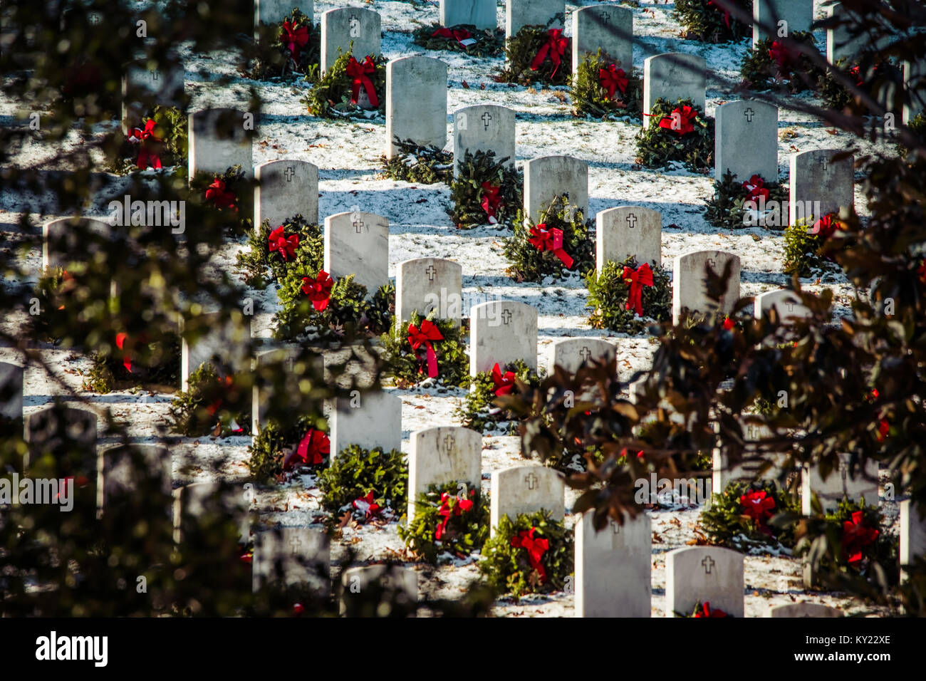 A view through the trees of wreaths on American graves at a national ...