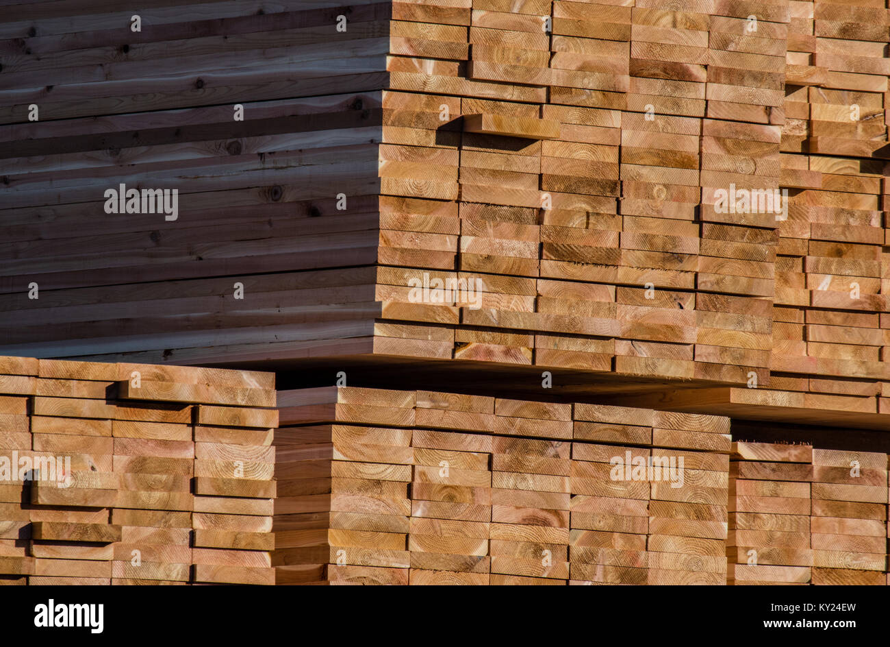 Mill producing lumber for construction and packs it for convenient ...