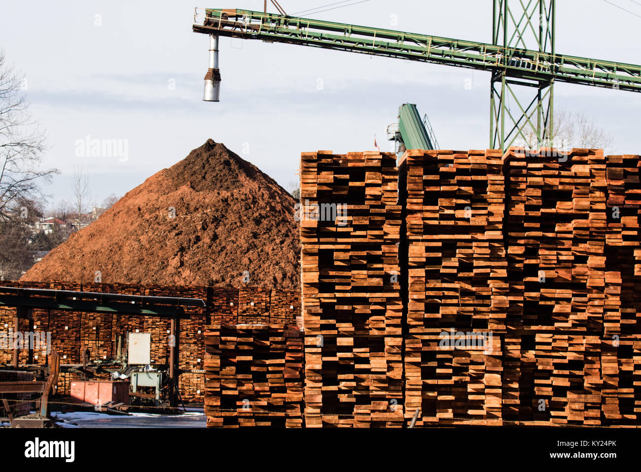 Lumber mill log storage hi-res stock photography and images - Alamy