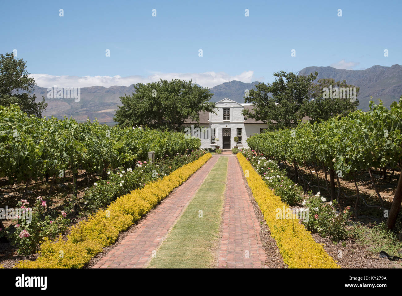 Cape dutch farm house hi-res stock photography and images - Alamy
