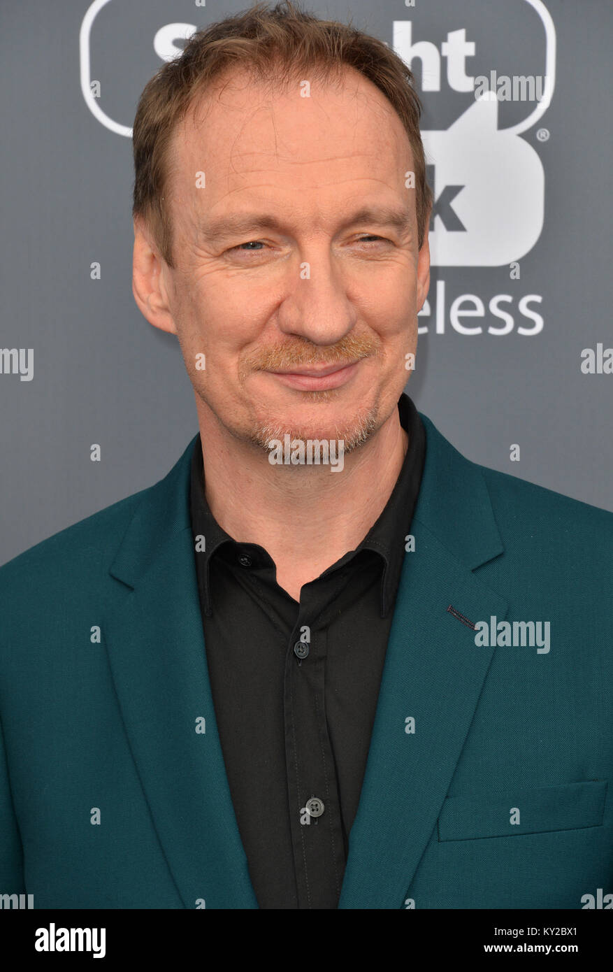 Santa Monica, California, USA. 11th Jan, 2018. David Thewlis at the ...