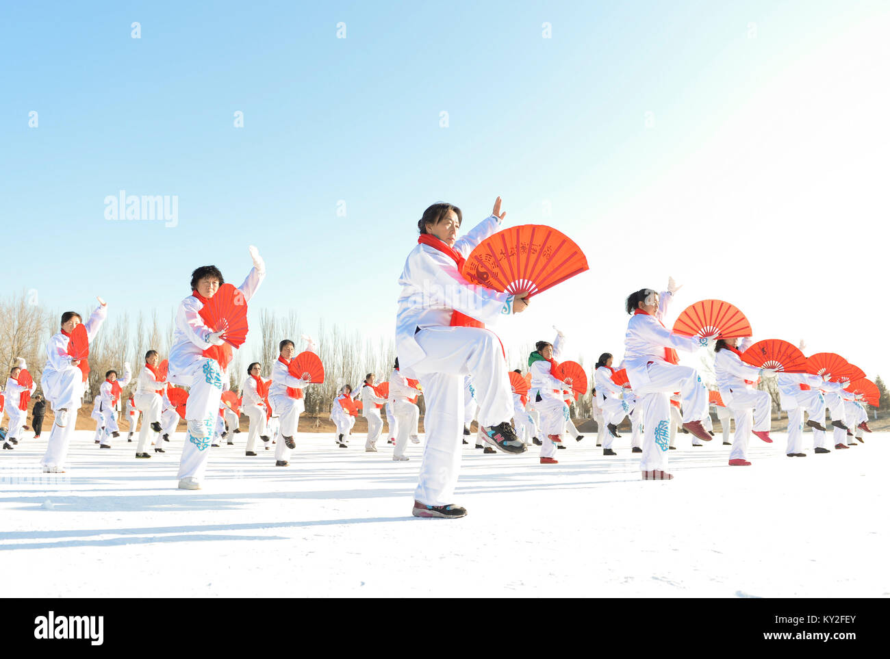 Hohhot, China's Inner Mongolia Autonomous Region. 12th Jan, 2018. Tai ...