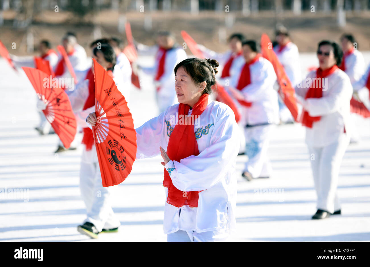 Hohhot, China's Inner Mongolia Autonomous Region. 12th Jan, 2018. Tai ...